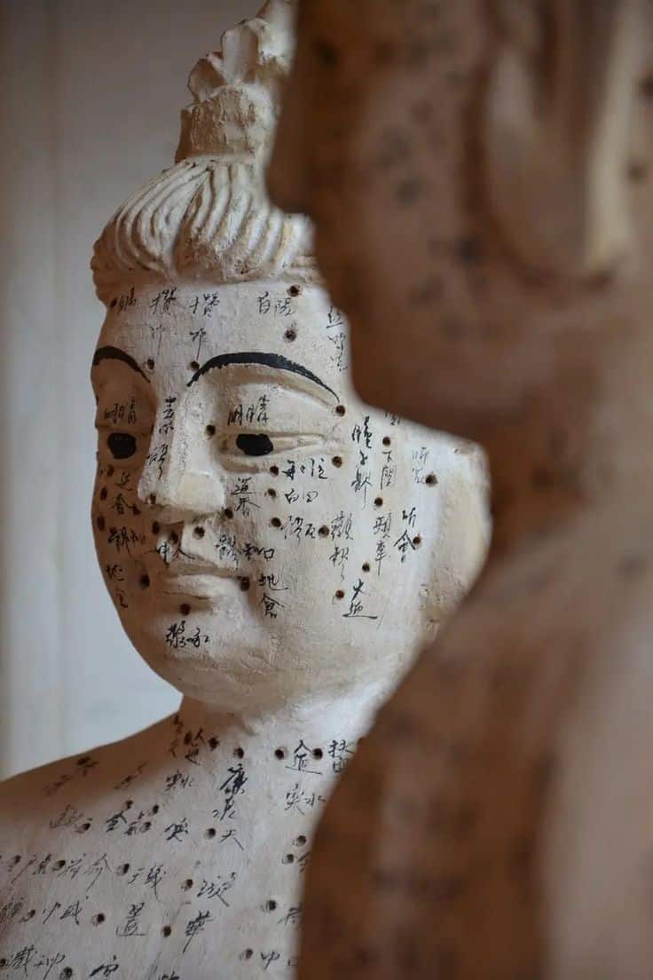 The Five Vital Concepts In Traditional Chinese Medicine: Jing - Life ...